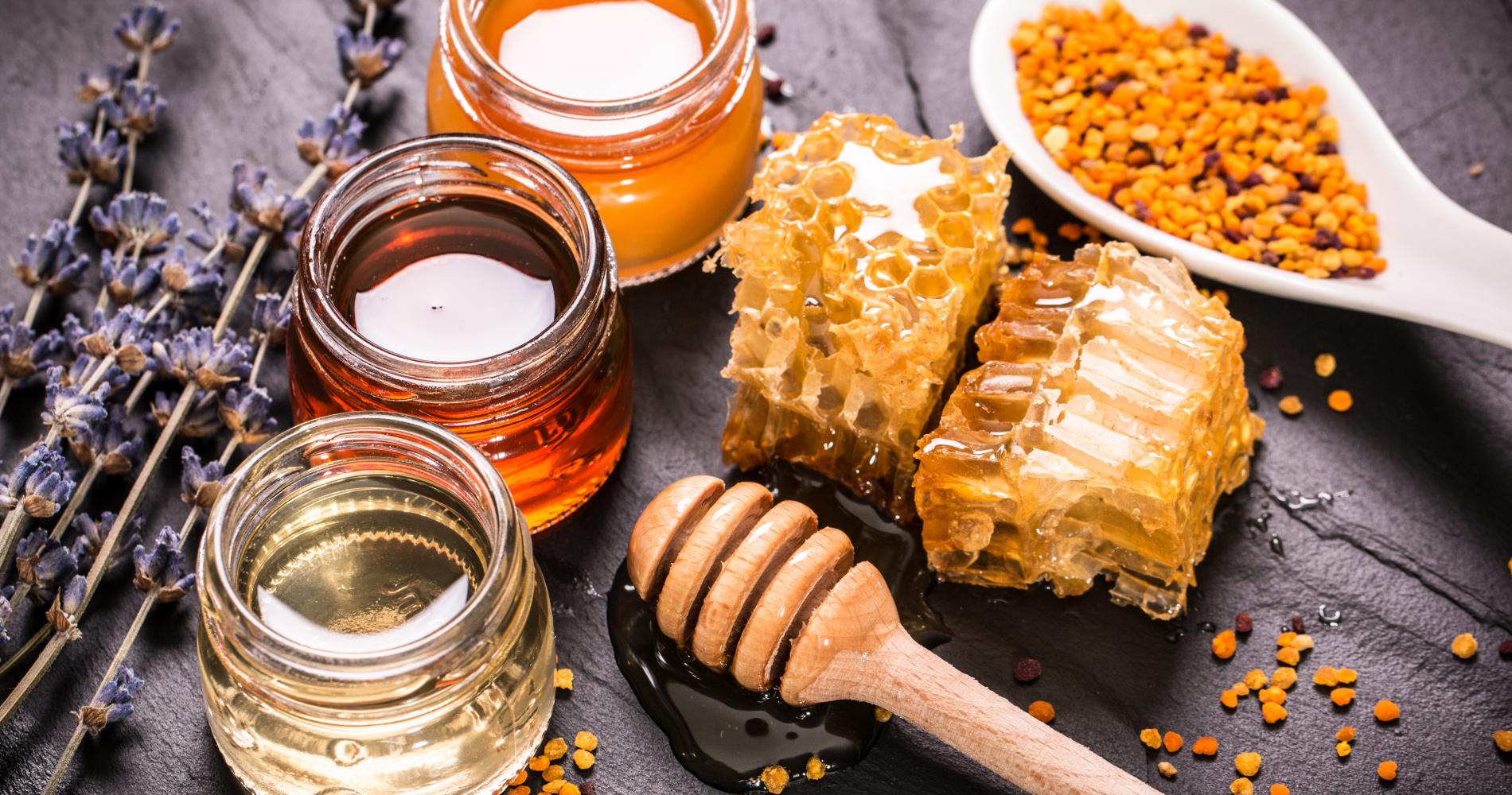 Eucalyptus Honey from Apicoltura Mori | Apicoltura Mori vendita miele ...